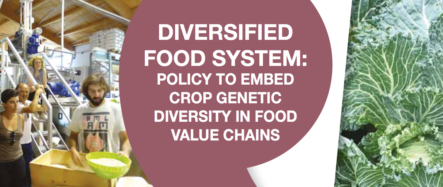 Booklet #5 Diversified food system: Policy to embedding crop genetic ...